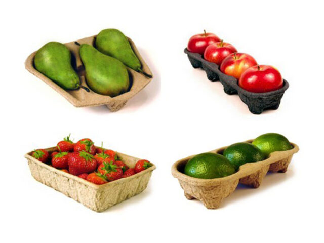 2500pcs/h Fruit Tray Making Machine for Small Business
