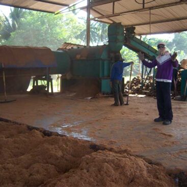 Coconut fiber extraction machine - Shuliy Machinery