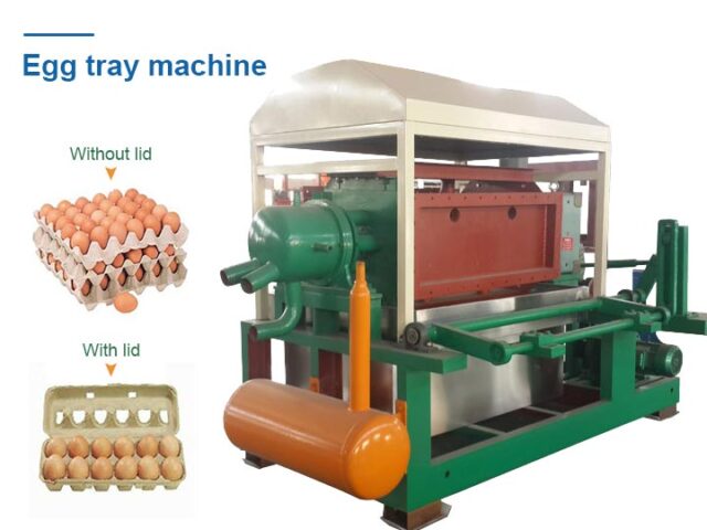 5000-7000pcs/h Egg Tray Machine for Medium-size Farm