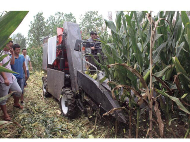 Combined corn harvester machine | maize harvester machine