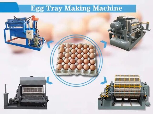 5000-7000pcs/h Egg Tray Machine for Medium-size Farm