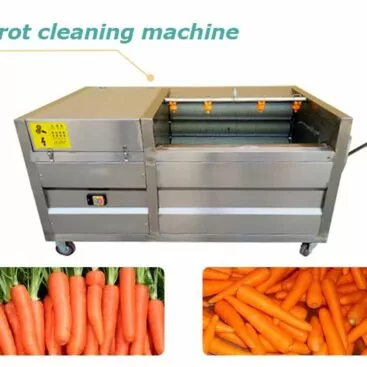 Carrot washing cleaning machine - Shuliy Machinery